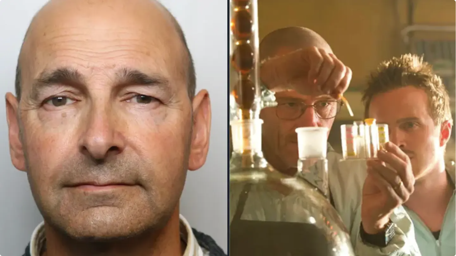 Breaking Bad Copycat Caught! These are “High Times” - Frank151.com