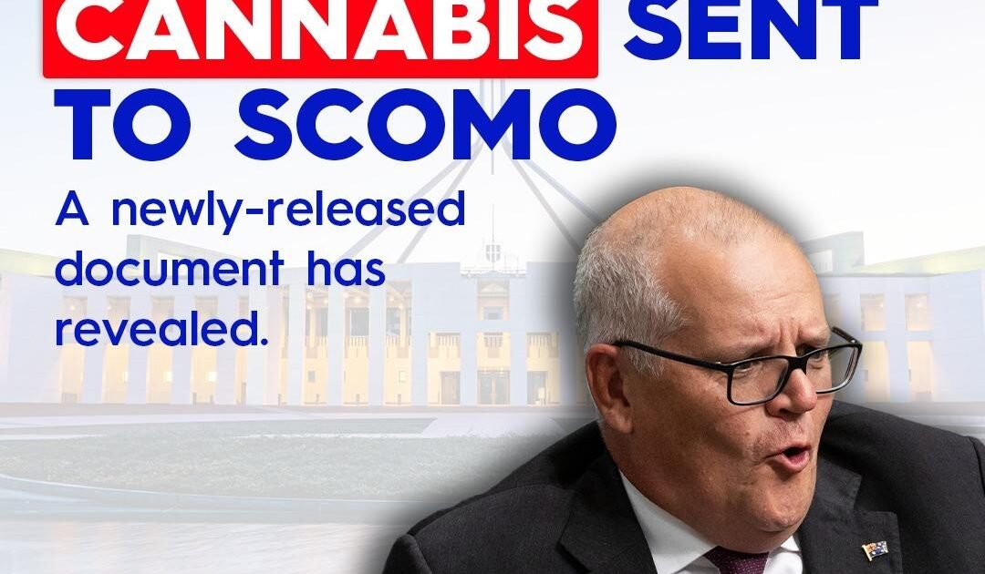 Scomo’s Smoko - Frank151.com