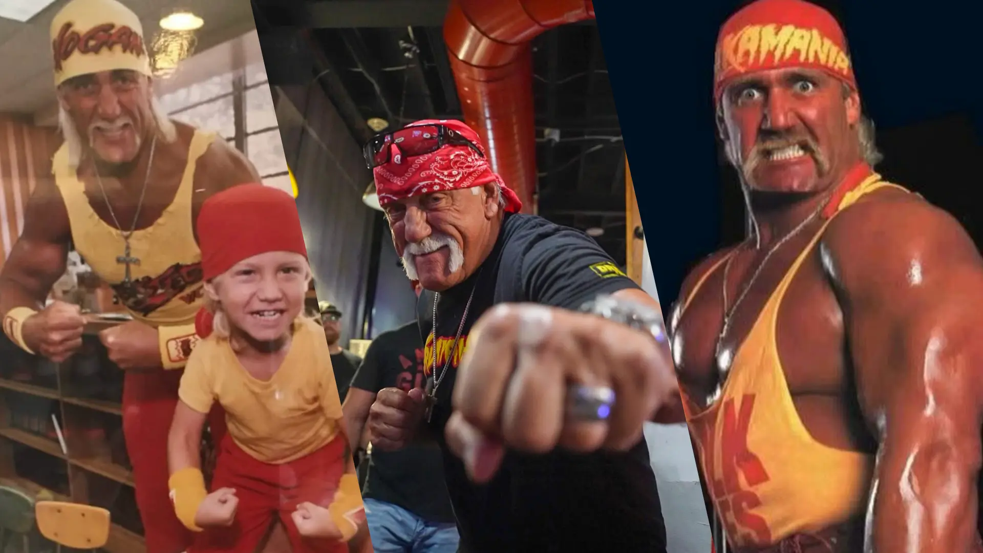 Hulk Hogan Forever: Wrestling God, Hollywood Hero & Pop Culture ...