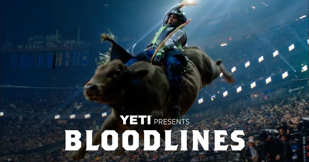 World Champion Bull Rider Takes Us Inside the Evolution of PBR Bulls ...